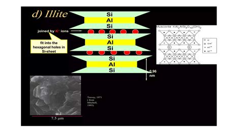 Illite Non Expanding Type Clayphyllosilicate Clay Pptx
