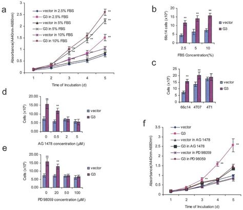 expression of versican g3 enhances cell proliferation by upregulating