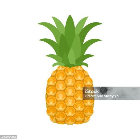 만화 파인애플 아이콘입니다 열대 과일의 벡터 평면 그림입니다 0명에 대한 스톡 벡터 아트 및 기타 이미지 0명 건강한 식생활 과일 Istock