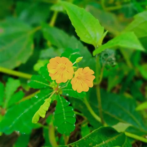 Instagram Photo By Joshi George • Aug 14 2024 At 9 06 Pm