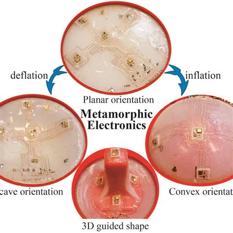 Graphical Abstract Metamorphic Acoustoelectronics Download Scientific Diagram