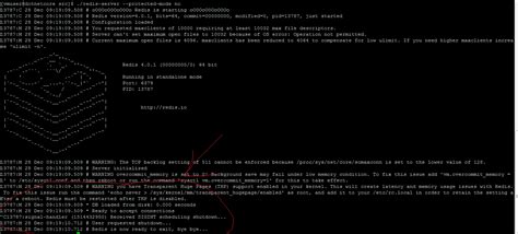 Check If Redis Is Running On My System Or Not Hot Sale