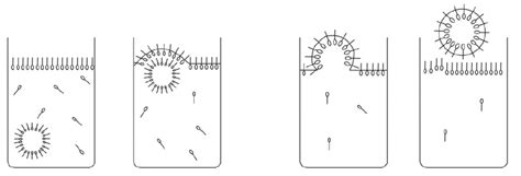 Diagram Of The Rising Process Of Bubble In Surfactant Solution