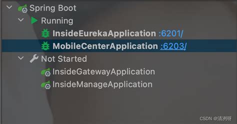 使用代码生成器，项目启动报错。java使用代码生成器失败 Csdn博客