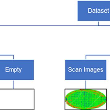 Structure Of The Dataset Download Scientific Diagram