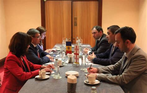 შალვა პაპუაშვილი მოლდოვას რესპუბლიკის პარლამენტის პრეზიდენტს შეხვდა