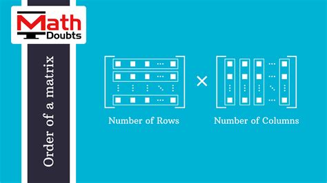 Order Of A Matrix