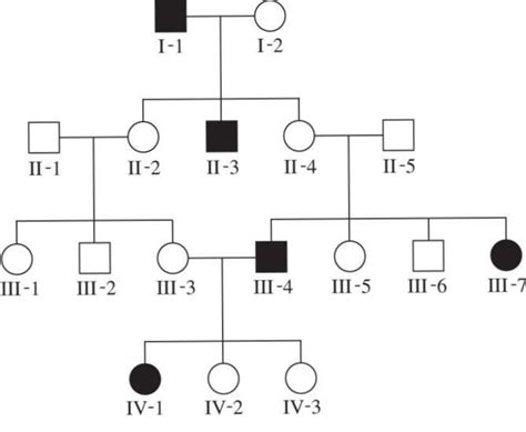 Solved As A Genetic Counselor You Have Been Asked By A