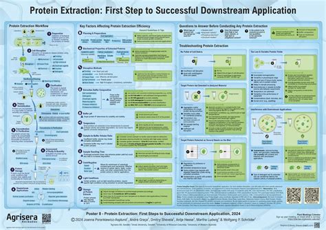 Protein Extraction Frist Steo To Successful Downstream Application Agrisera Educational Poster 8
