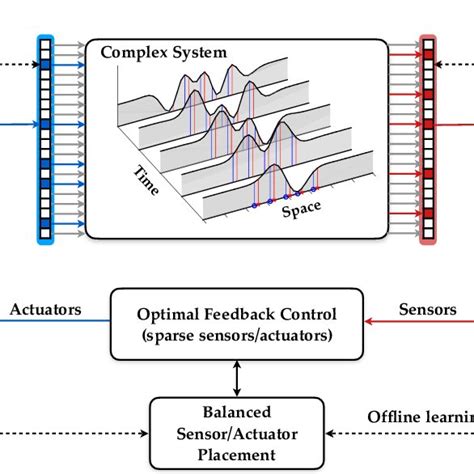 schematic of balanced sensor and actuator placement for the optimal download scientific diagram