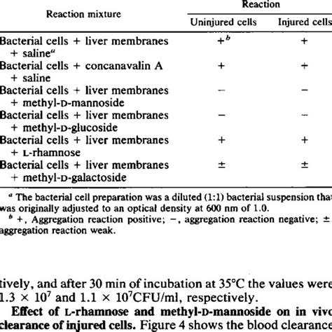 In Vitro Aggregation Reaction Download Table