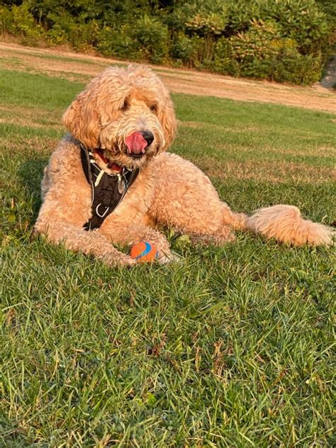 One Data Point Is All I Need To Do Life And Assume Human Behaviors