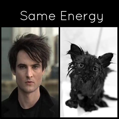 Same Energy Rsandman Same Energy Rsandman