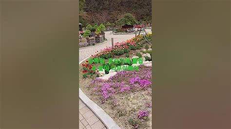 수목원 호숫가 주변 튤립과 이쁜 보라색 꽃 Youtube