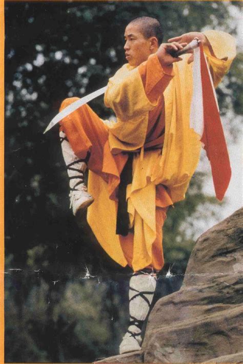 Shaolin Warrior Monk | Shaolin monks, Martial arts, Shaolin kung fu