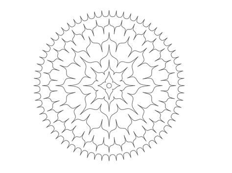 Parametric Equations And Polar Graphs Math With Steve