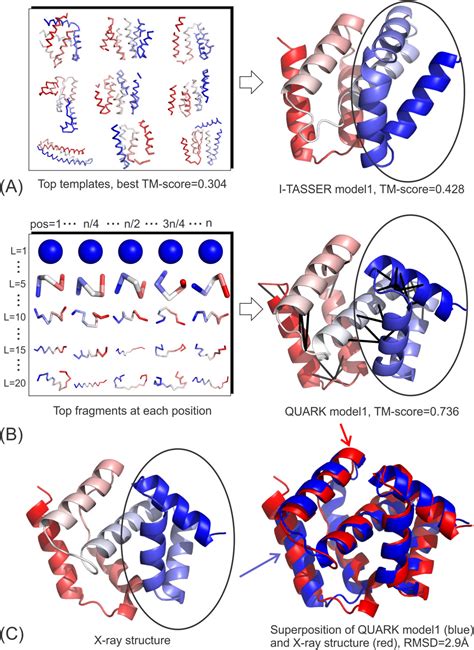 Integration Of Quark And I‐tasser For Ab Initio Protein Structure Prediction In Casp11 Zhang