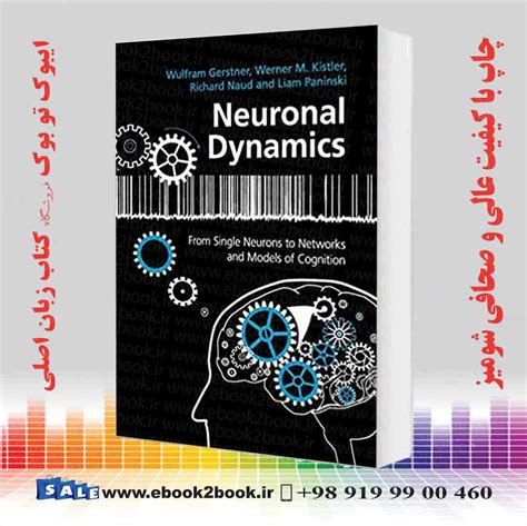 Neuronal Dynamics From Single Neurons To Networks And Models Of