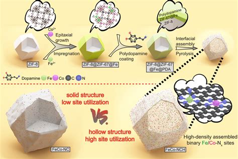Schematic Illustration Of Feco Nch Illustration Of The Typical Download Scientific Diagram
