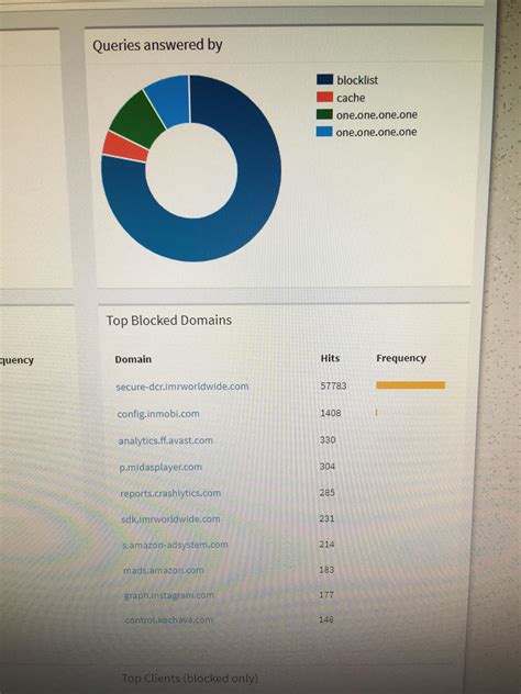 Why Is This Getting So Much Request R Pihole