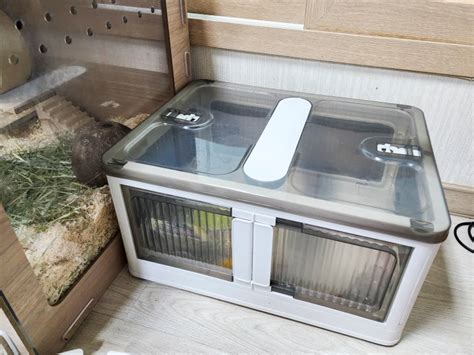 리빙박스 폴딩 수납정리함 골든햄스터 용품 정리 네이버 블로그