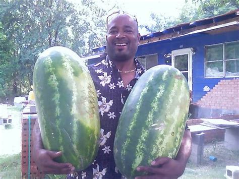 Kerri Kendall Junglekey Com Image