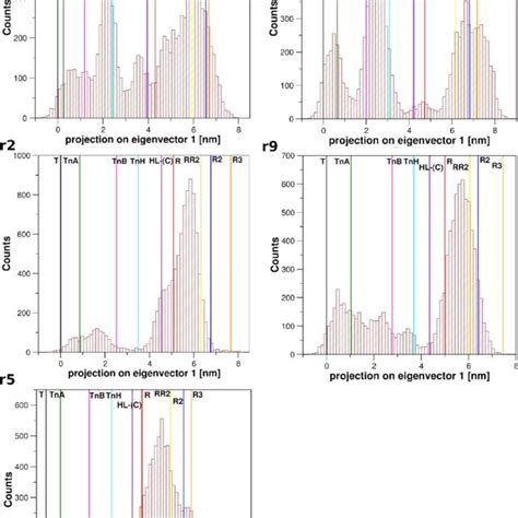 essential dynamics analysis projection on the first eigenvector of the