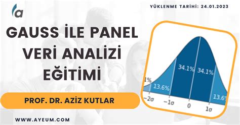 Gauss İle Panel Veri Analizi Eğitimi