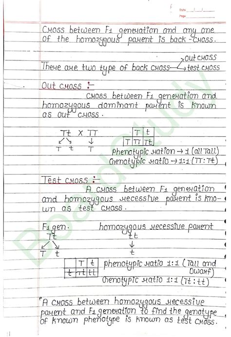 Ncert Class 12 Biology Principles Of Inheritance And Variation Notes