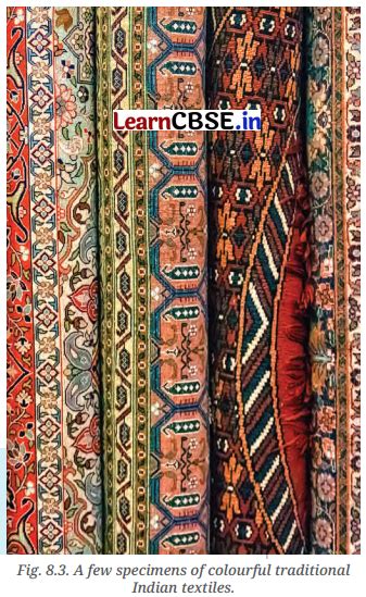 Unity In Diversity Or Many In The One Class 6 Notes Social Science Chapter 8 Learn Cbse