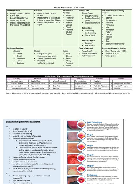 Nurs1145skinwoundassessmenthandout1 Download Free Pdf Wound