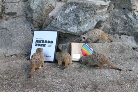 Ben Supple On Linkedin Giraffeabouttown Conservation Nature Wildlife Team Thankyou