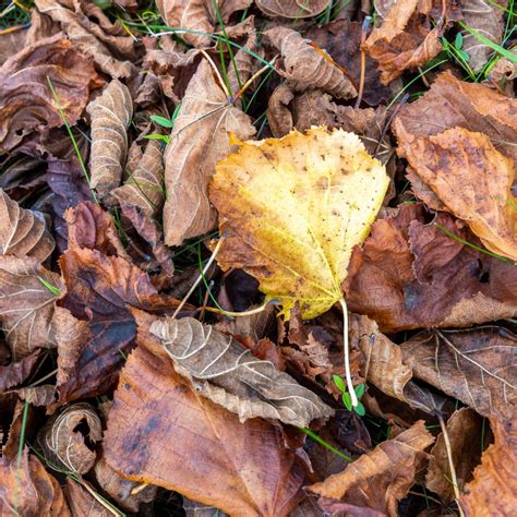 Today Is Officially The First Tithe Green Natural Burial