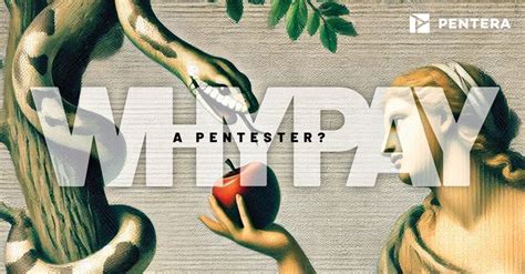 cannon fodder security on linkedin why pay a pentester
