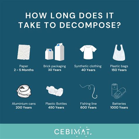 Sustainability Biodegradation Greenbusiness Ecofriendly