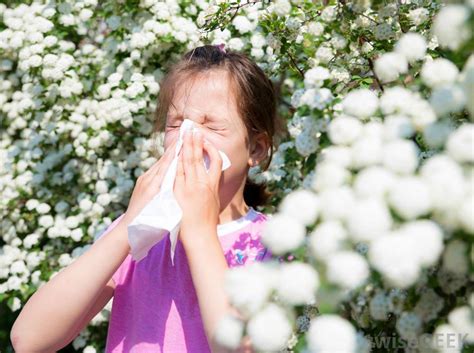 Allergy Desensitization An Evolving And Effective Treatment Allergy