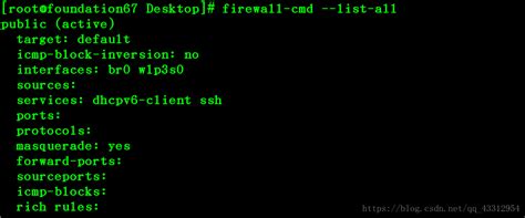 实现虚拟机上网及域名添加 systemctl stop libvirtd csdn博客