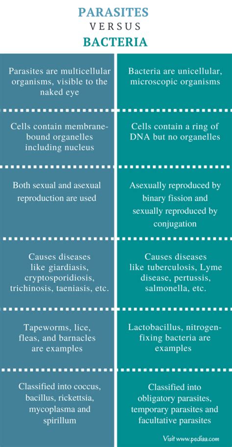 Difference Between Parasites And Bacteria
