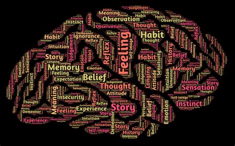 Zo Laat Je Beide Hersenhelften Samenwerken Krant Van De Aarde