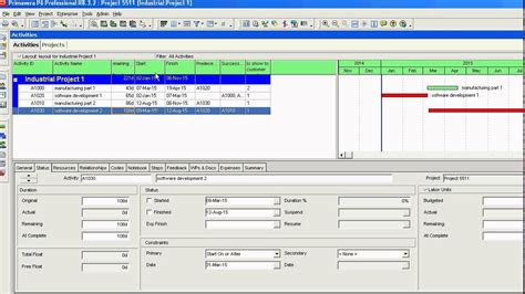 Primavera P6 Sort Activities Youtube