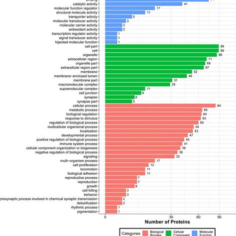 Functional Go Classification Of Deps Download Scientific Diagram