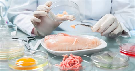 Rapid Pathogen Testing Microsearch Laboratories Ltd