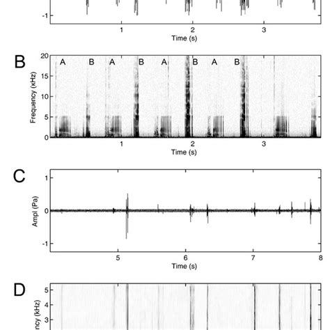 a oscillogram and b spectrogram of p gibbiceps stridulatory sounds