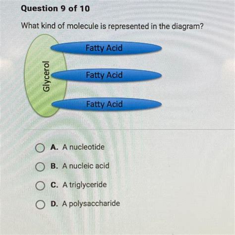 Triglyceride Diagram
