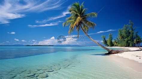 清爽的海滩高清图片下载 正版图片600483024 摄图网