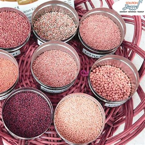 Based On The Project Millet Processing Plant At ₹ 2500000plant In