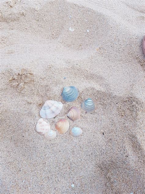 노인전용평생바우처어르신 교육비 지원사업