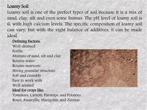 Soil PPTX