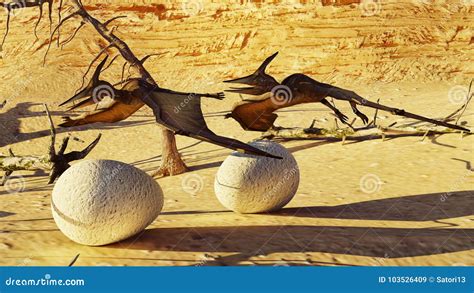 Egg And Pterodactyl 3d Rendering Stock Image Image Of Prehistoric