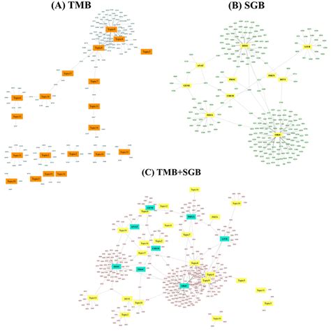 A Network Formed Using The Topic Modeling Based Model Tmb With